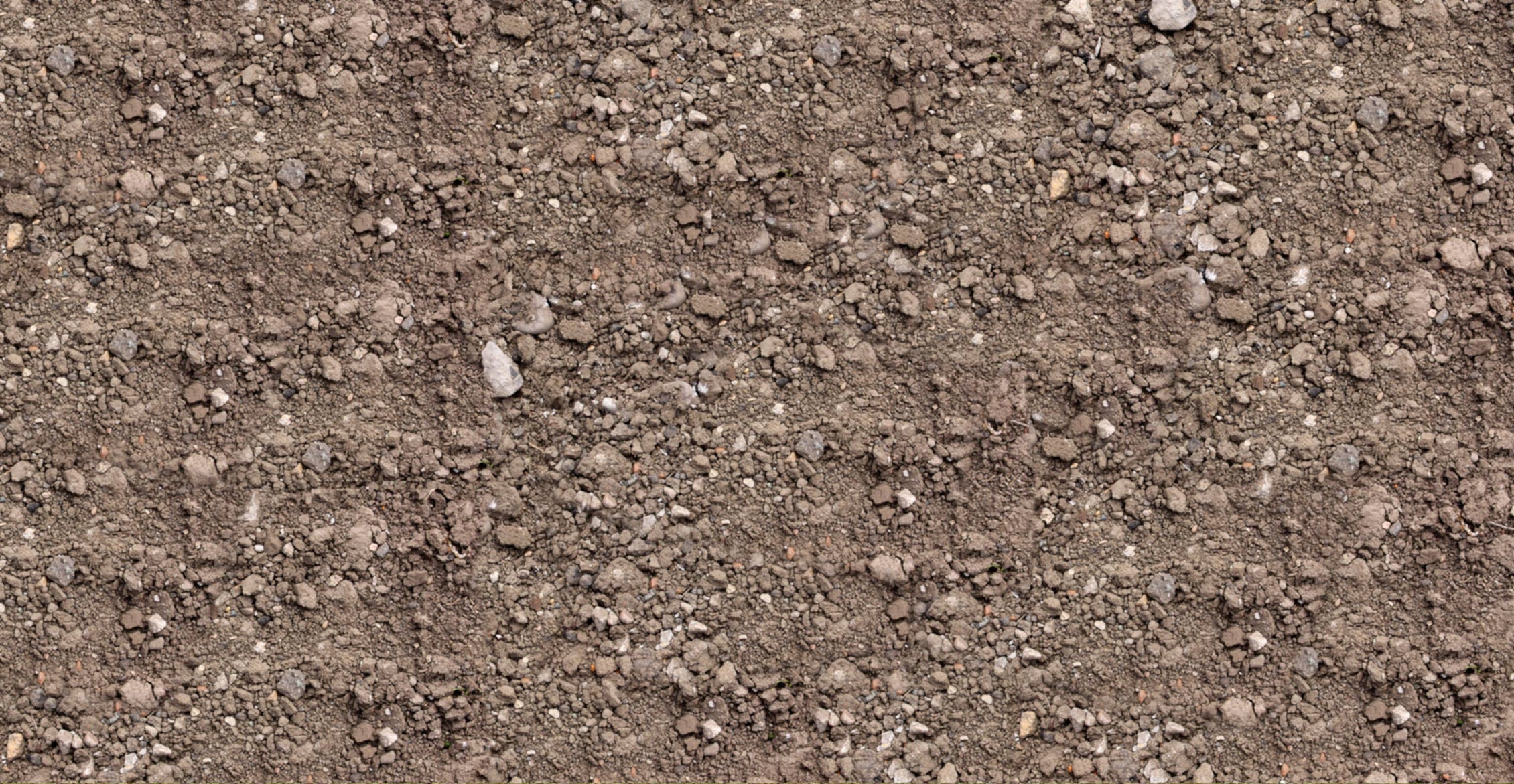 Beava Roller 35 – iFootage